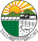 Diário Oficial de Senador Canedo